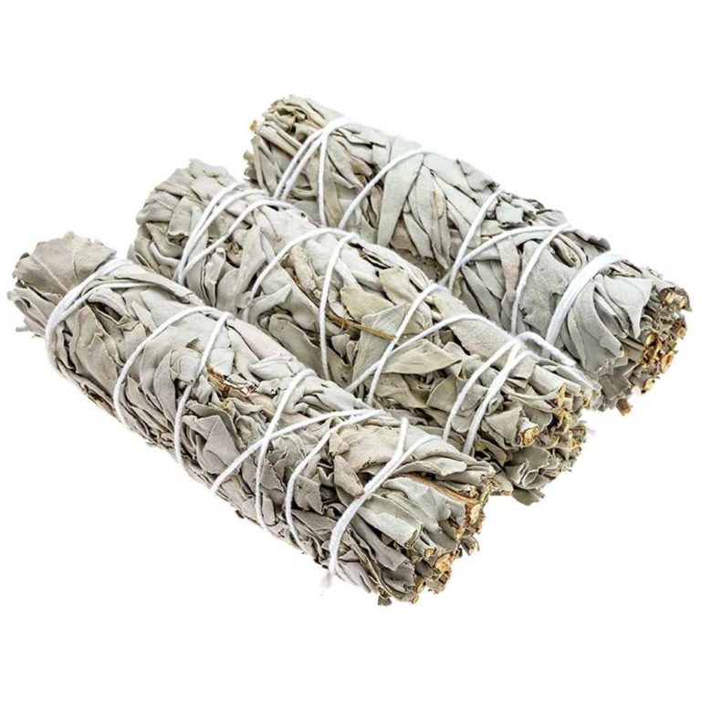 Sauge Blanche — Vertus, Propriétés et Bienfaits