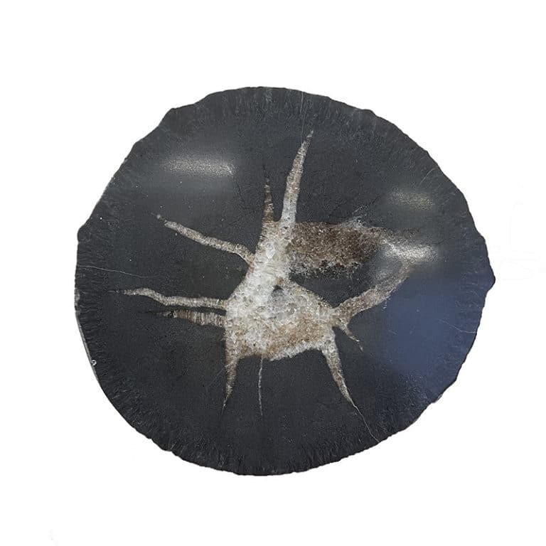 Septaria — Vertus, Propriétés et Bienfaits de la Pierre
